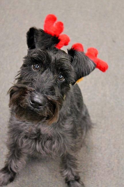 Gallery - Celtic Hall